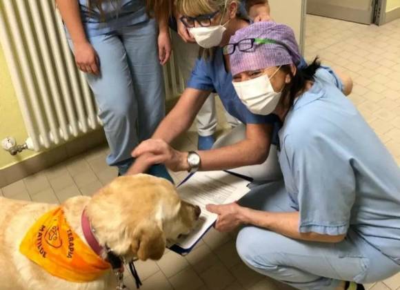 Forlì, cani da terapia in appoggio ai pazienti fragili in Oculistica