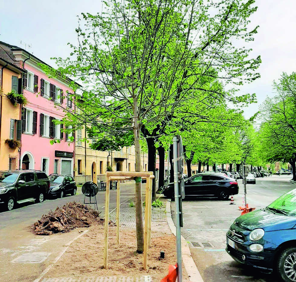 La Regione regala piante nei vivai