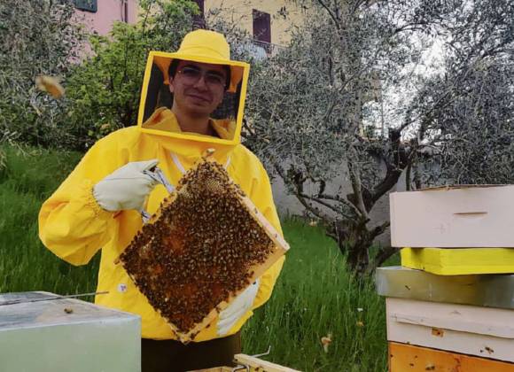 Verucchio, il ragazzo delle api che acchiappa gli sciami gratis