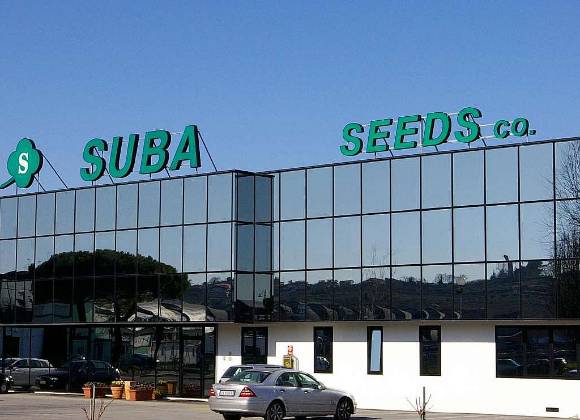 Suba Seeds: pace fatta dopo il caso tamponi a Longiano