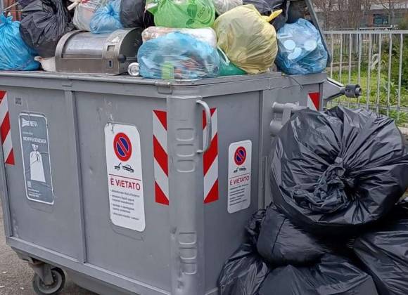 Dozza, cucciolo di cane nella spazzatura: salvato dai carabinieri
