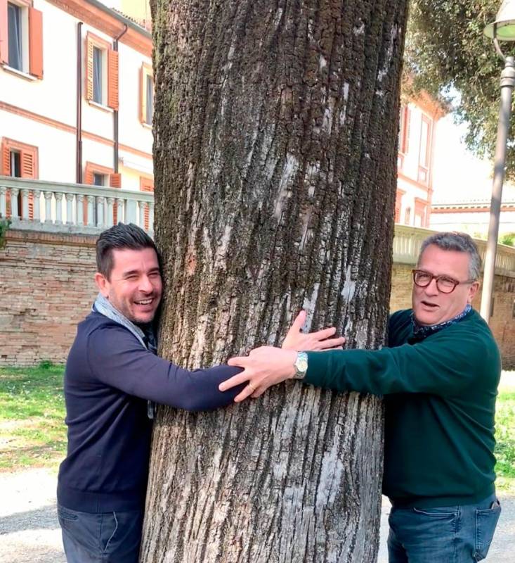 Elezioni a Cesena, Giangrandi: “Se vinceremo, pianteremo 150mila alberi ...
