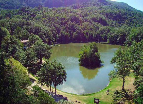 Bagno di Romagna, va a funghi a 84 anni e non rincasa: allarme e ...