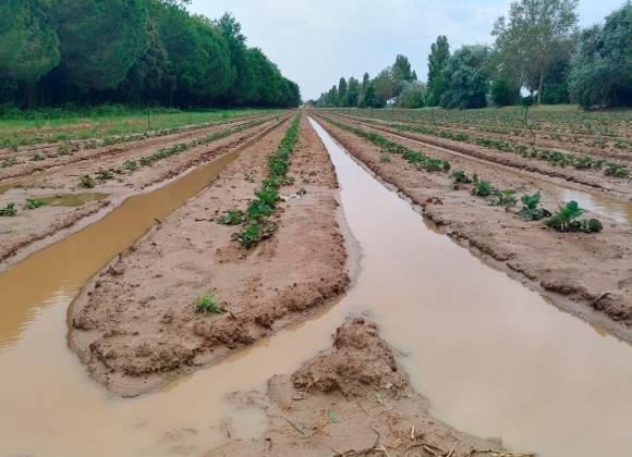 Alluvione, 16 milioni di euro risarciti alle Cab di Ravenna
