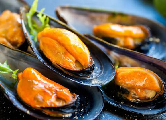 Dal 24 giugno la festa della Cozza Selvaggia a Marina di Ravenna