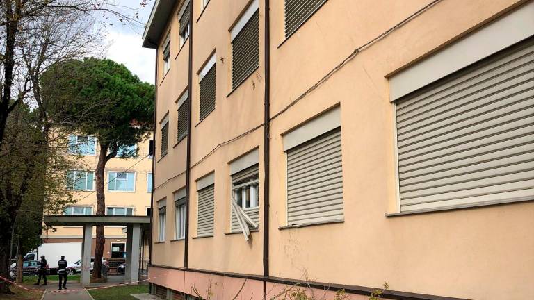 Cesena. Grosso albero cade contro la parete di una scuola media durante le lezioni. Abbattuto un ...