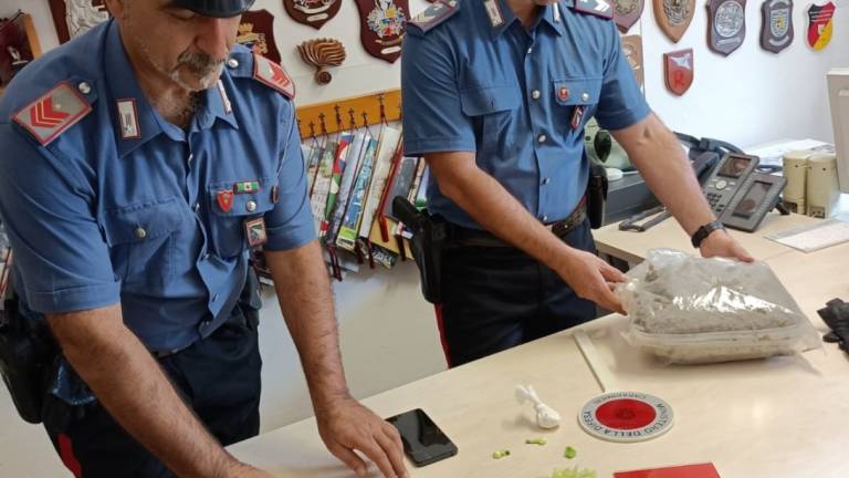 Forlì, spaccio di cocaina e marijuana: arrestato 39enne Forlì, spaccio di cocaina e marijuana: arrestato 39enne