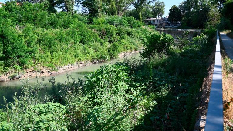 Forlì, il fiume Montone fa ancora paura FOTOGALLERY