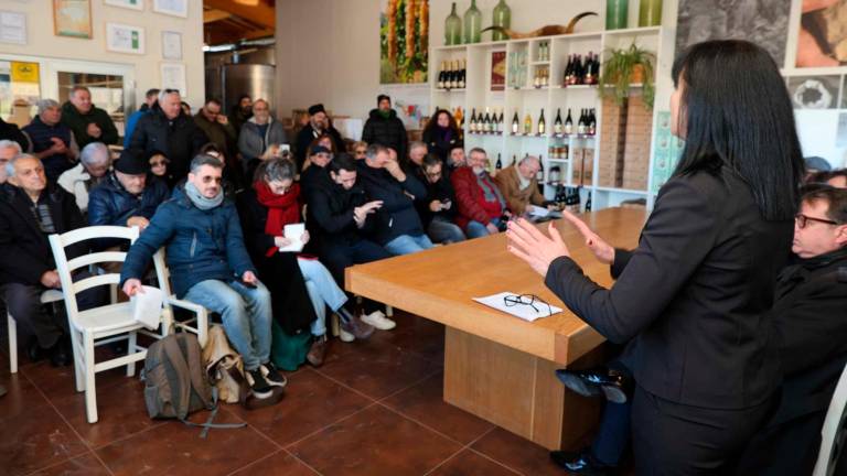 Mercato Saraceno, Ombretta Farneti scende in campo per il centrodestra ...