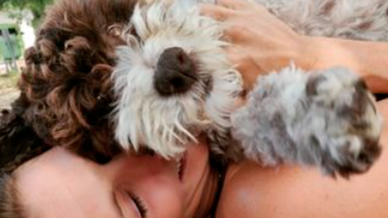 Tragedia in montagna nel Modenese, morta Giulia Maroni di Castel Guelfo ...