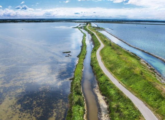 Delta del Po: i migliori itinerari e le escursioni da non perdere